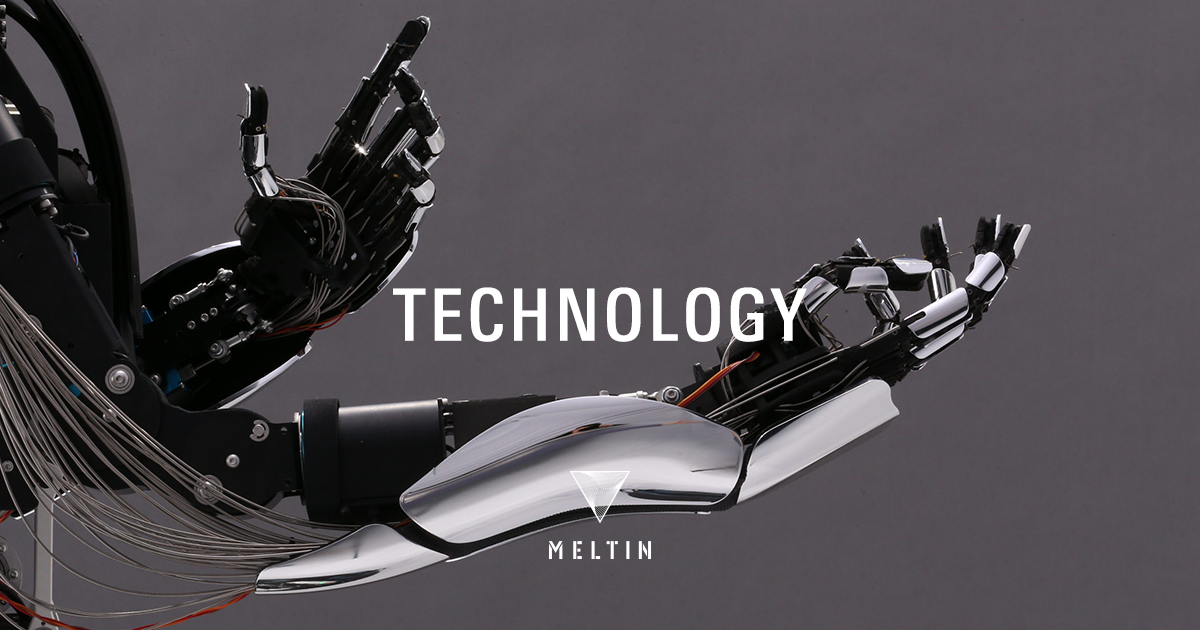 TECHNOLOGY - MELTIN MMI